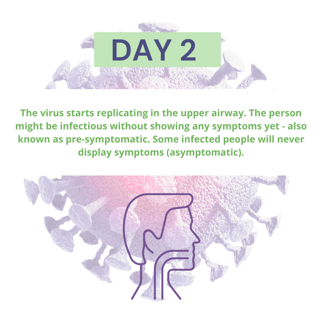 COVID-19 timeline – Complement Genomics
